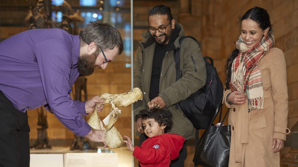 Survey shows strong public support for government funding of museums ...