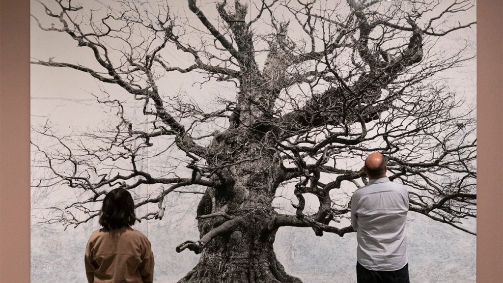 Museums Journal: the Climate Justice special issue - Museums Association