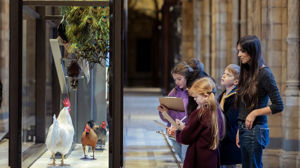 Largest-ever museum collaboration takes on biodiversity crisis ...
