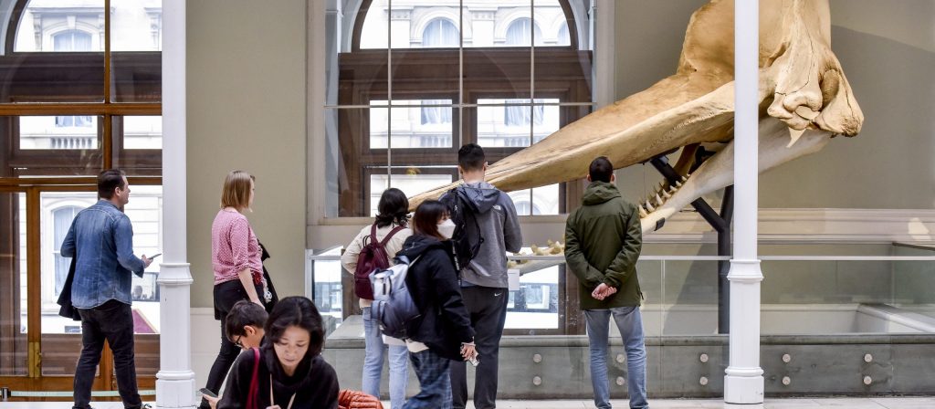 Careers Guide | Look beyond traditional job roles - Museums Association