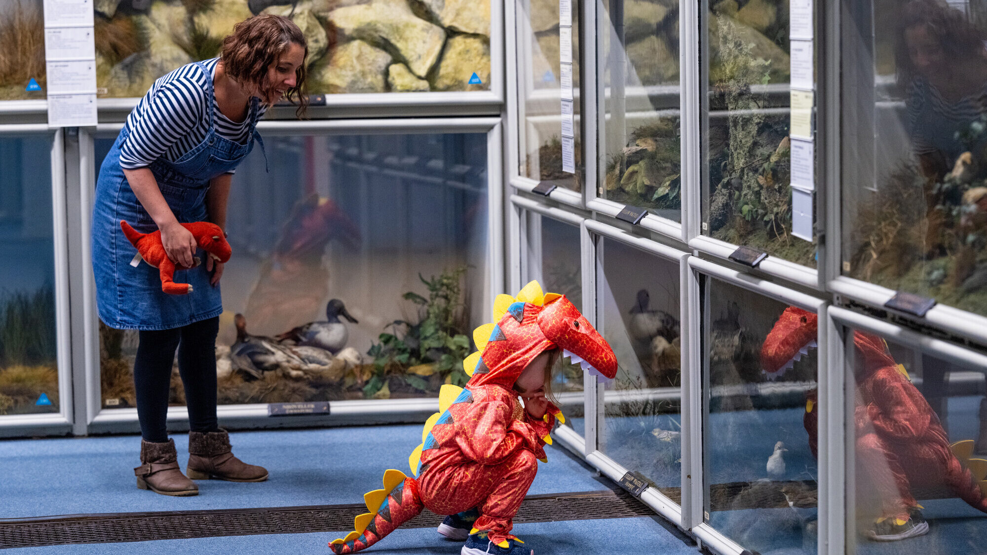 ACE reveals streamlined museum development programme - Museums Association