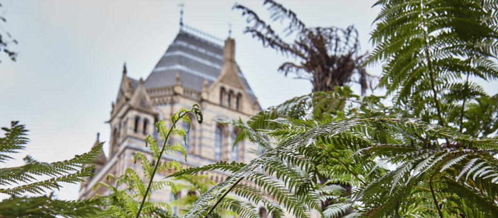 How the Urban Nature Project is transforming the Natural History Museum ...