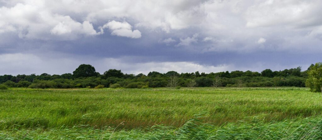 Book | Our Island Stories: Country Walks Through Colonial Britain, by ...