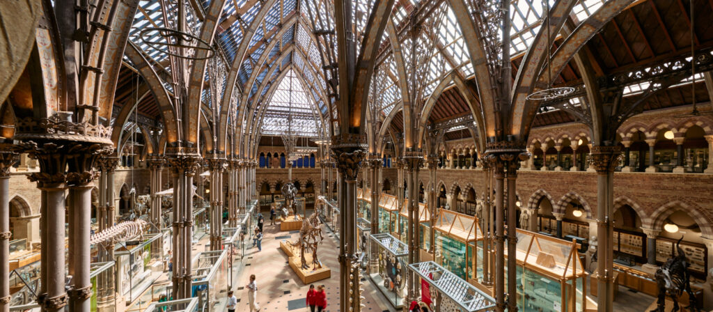 Organic matter | Life, As We Know It, Oxford University Museum of ...