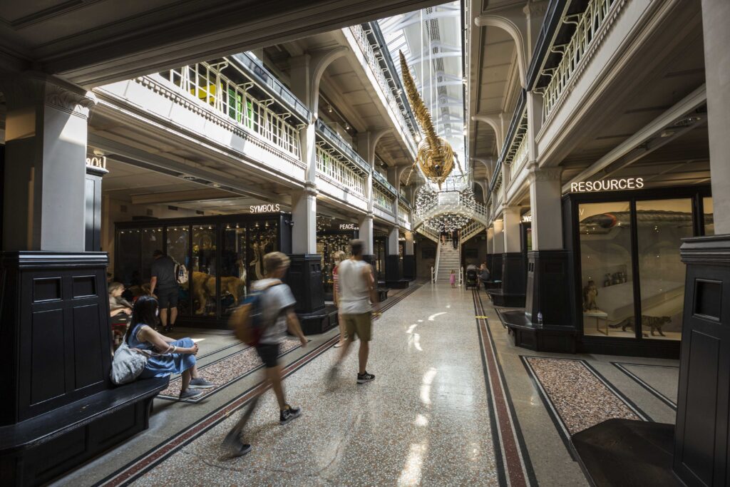 Manchester Museum named European Museum of the Year - Museums Association
