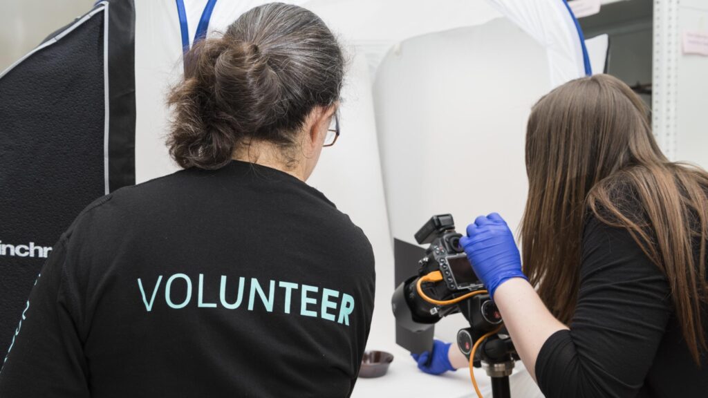Museums celebrate vital role of volunteers - Museums Association