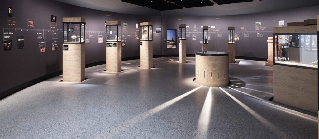 Space to exhibit | Germany Archaeological State Collection, Munich ...