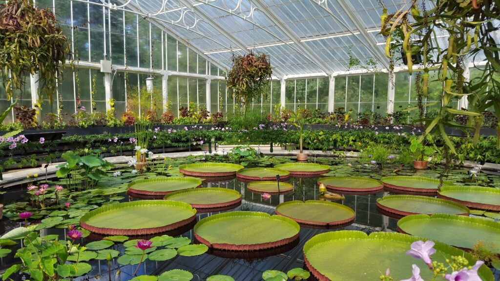 Kew awarded £5m for Palm House renovation - Museums Association