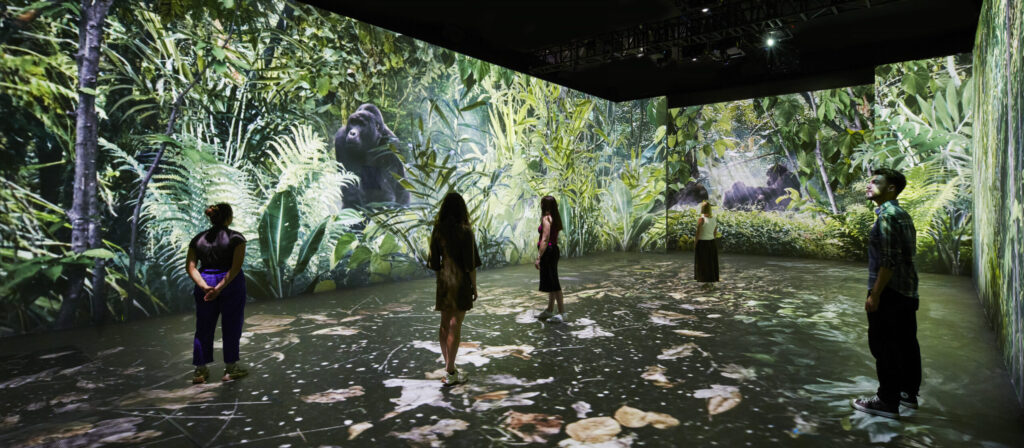 The new temporary exhibitions playbook - Museums Association