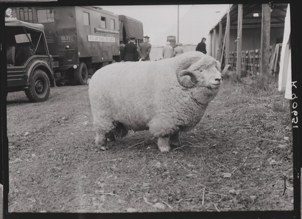 Digital | The most accessible virtual tour yet, the Absolute Units ...